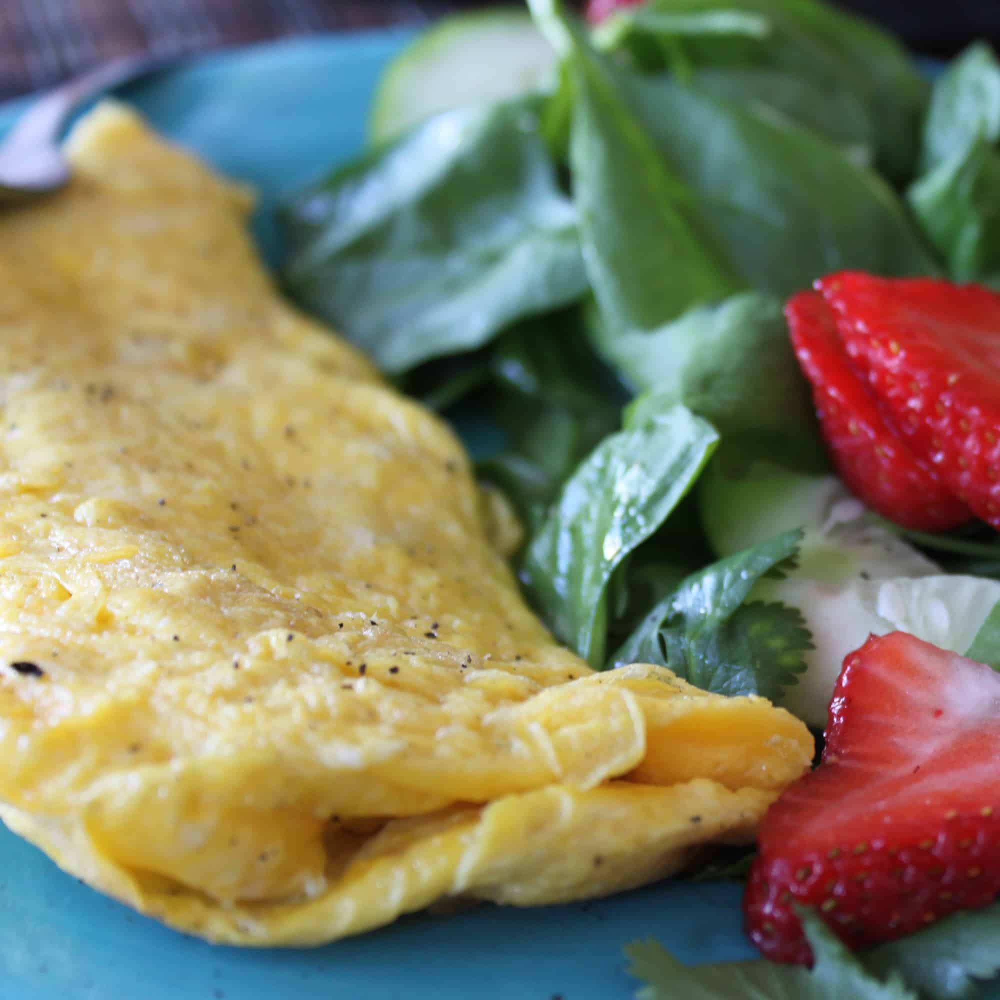 French Omelette