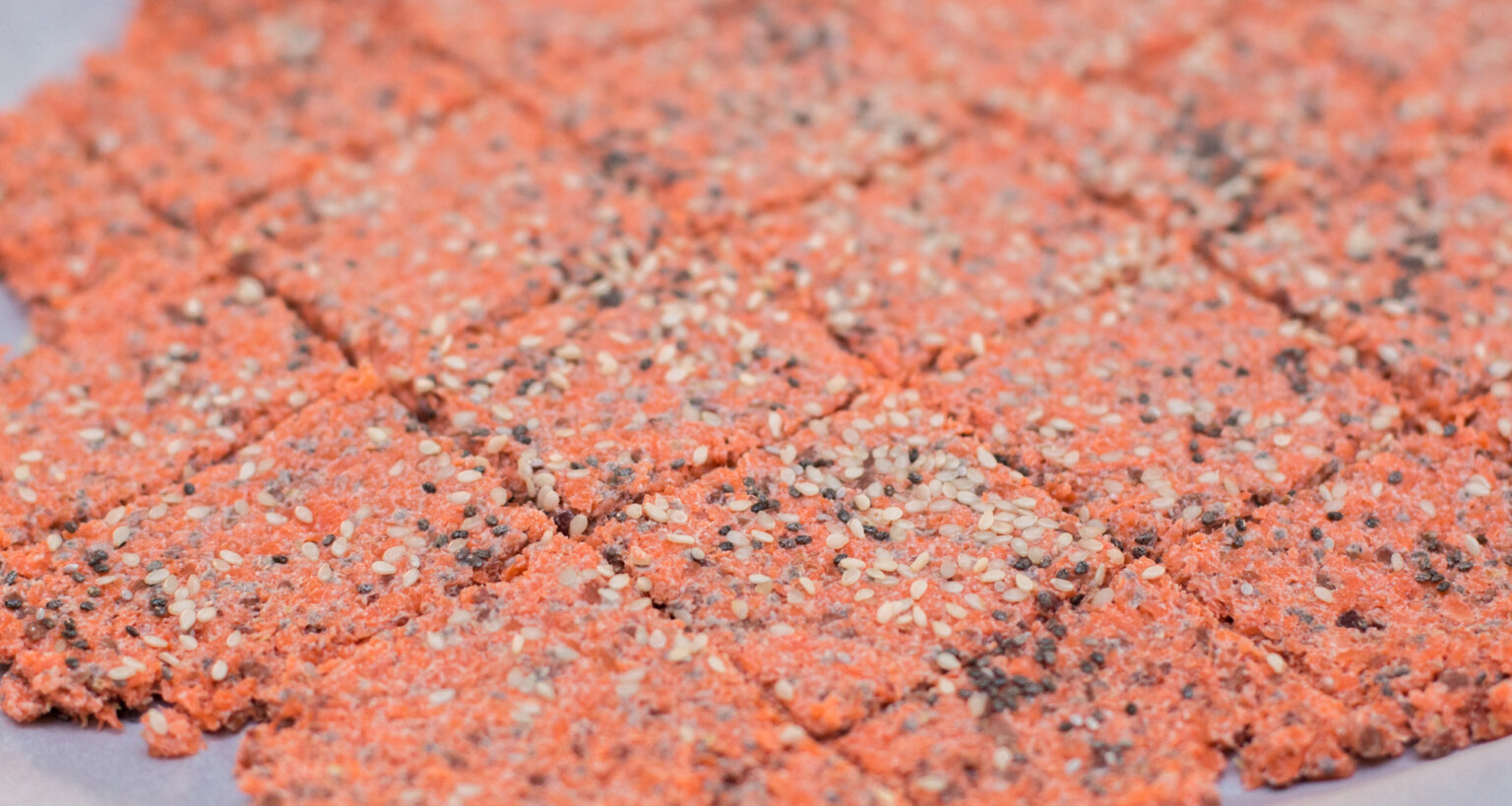Carrot Juice Pulp Crackers - Jerry James Stone