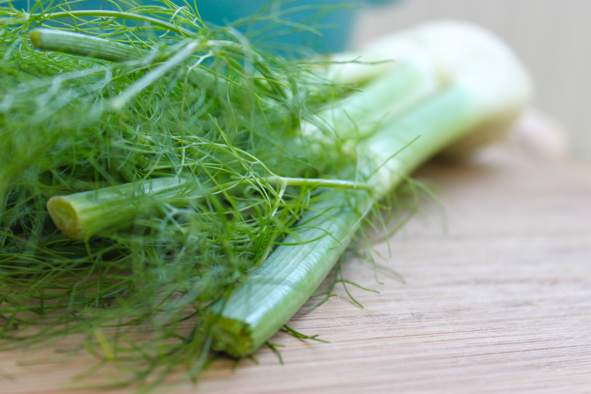 Wine Braised Fennel with Yogurt-Thyme Sauce