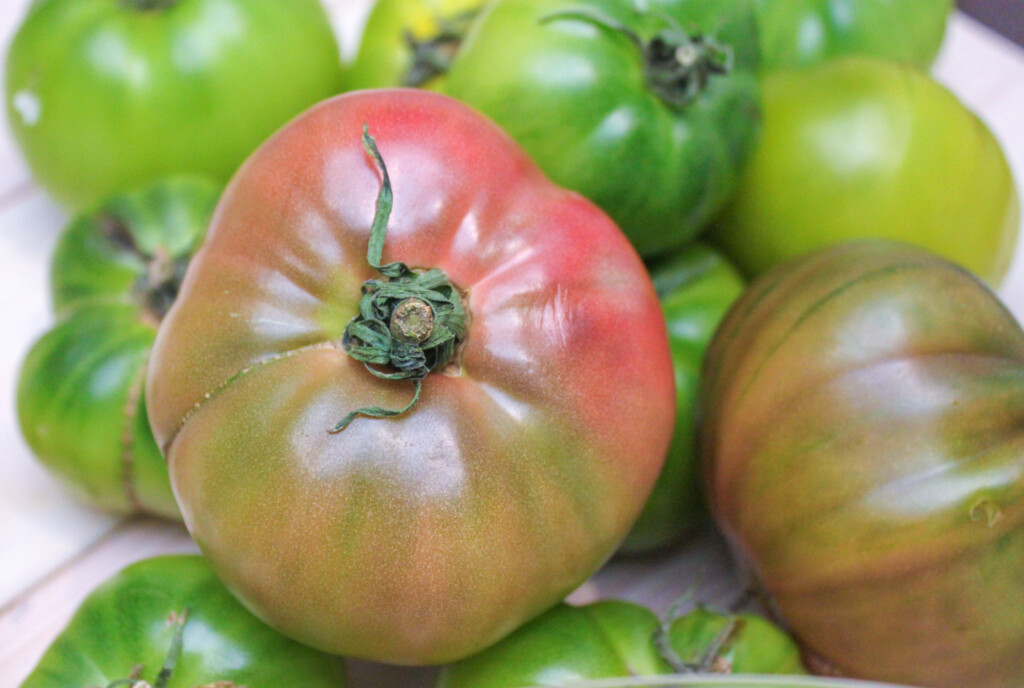 Avocado Gazpacho Soup