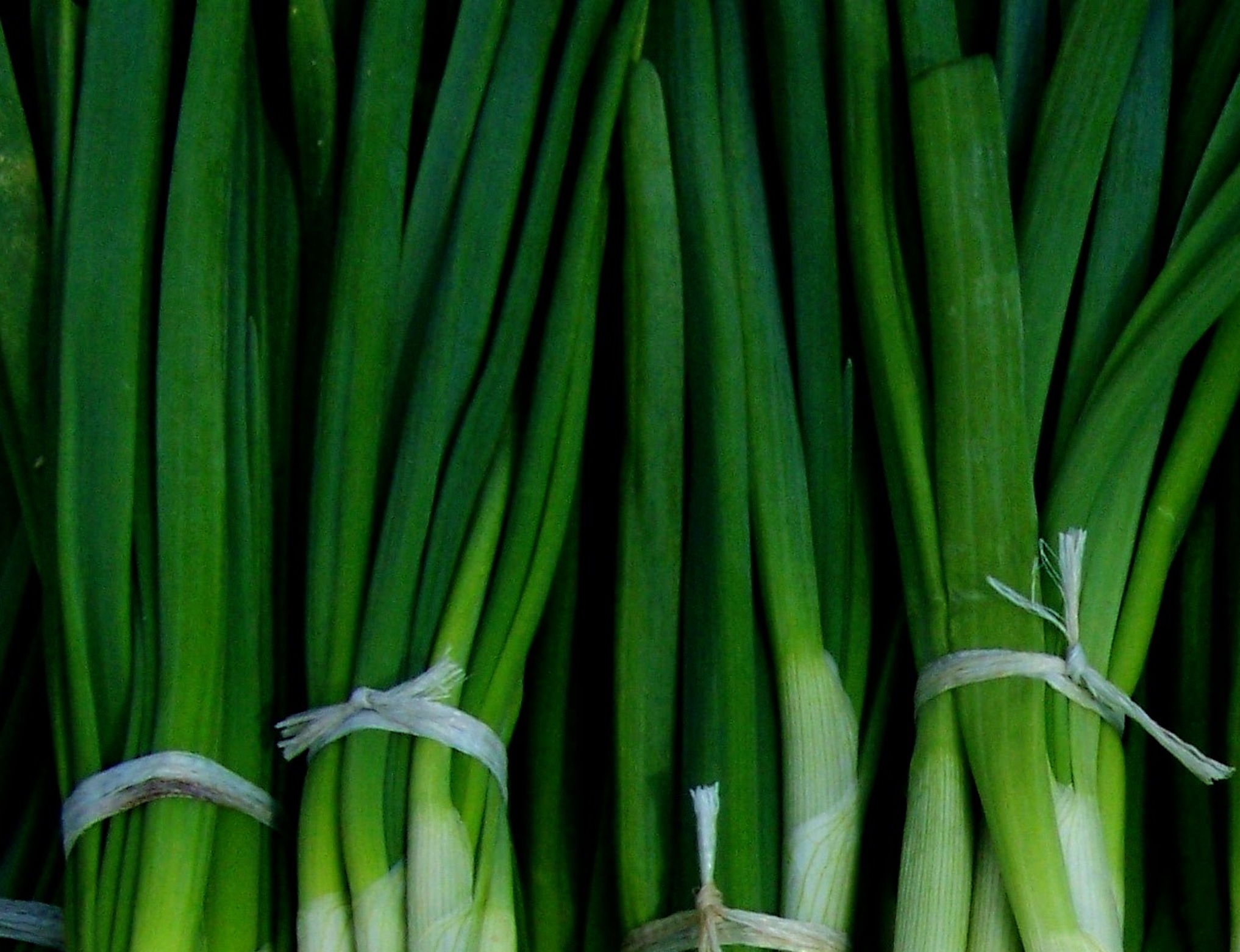 How Tos Archive - Jerry James Stone