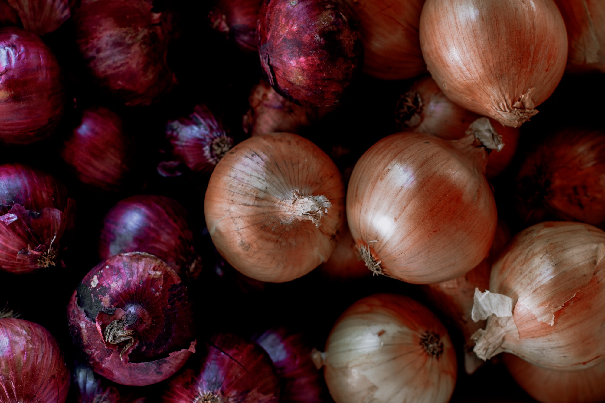How to Store Cut Onion for Weeks - Jerry James Stone