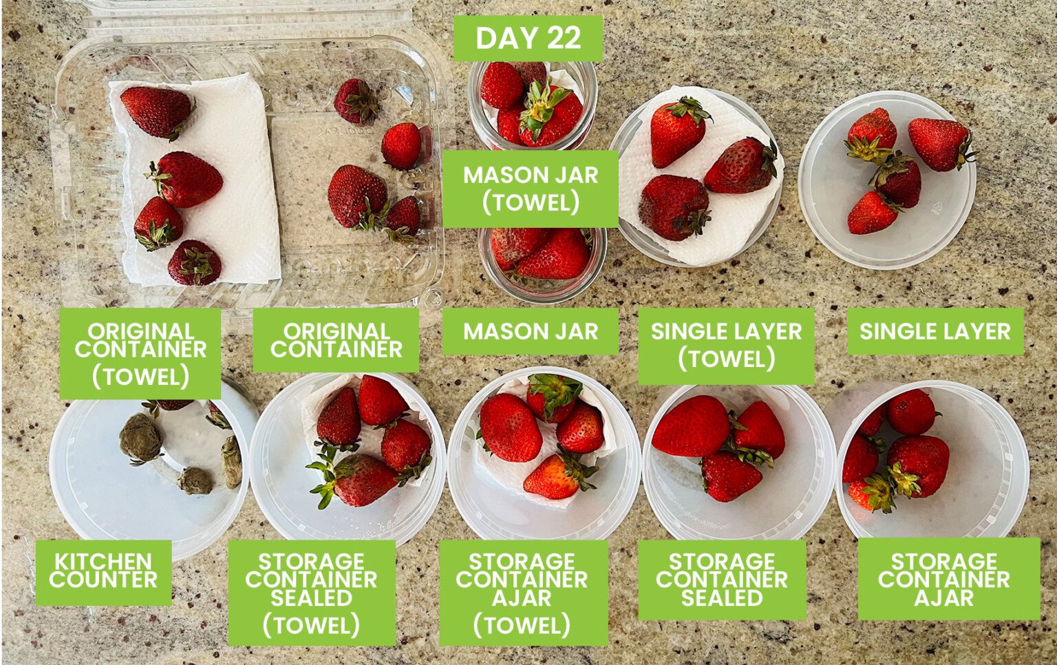 Best Way to Store Strawberries (17 Methods Tested)