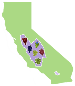 History of Grapes - What Am I Even Eating?!