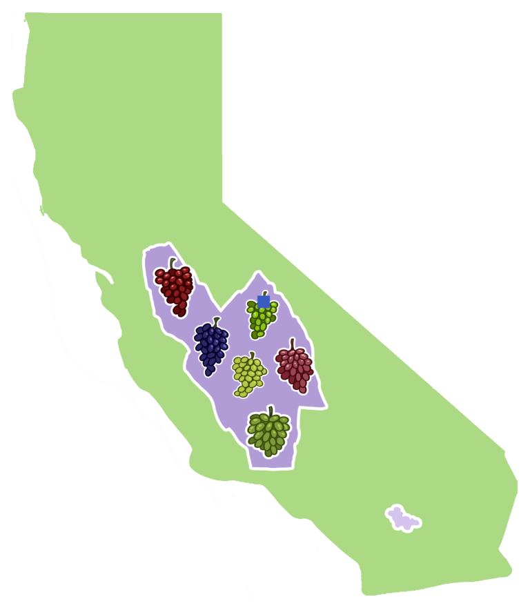 History of Grapes - What Am I Even Eating?!