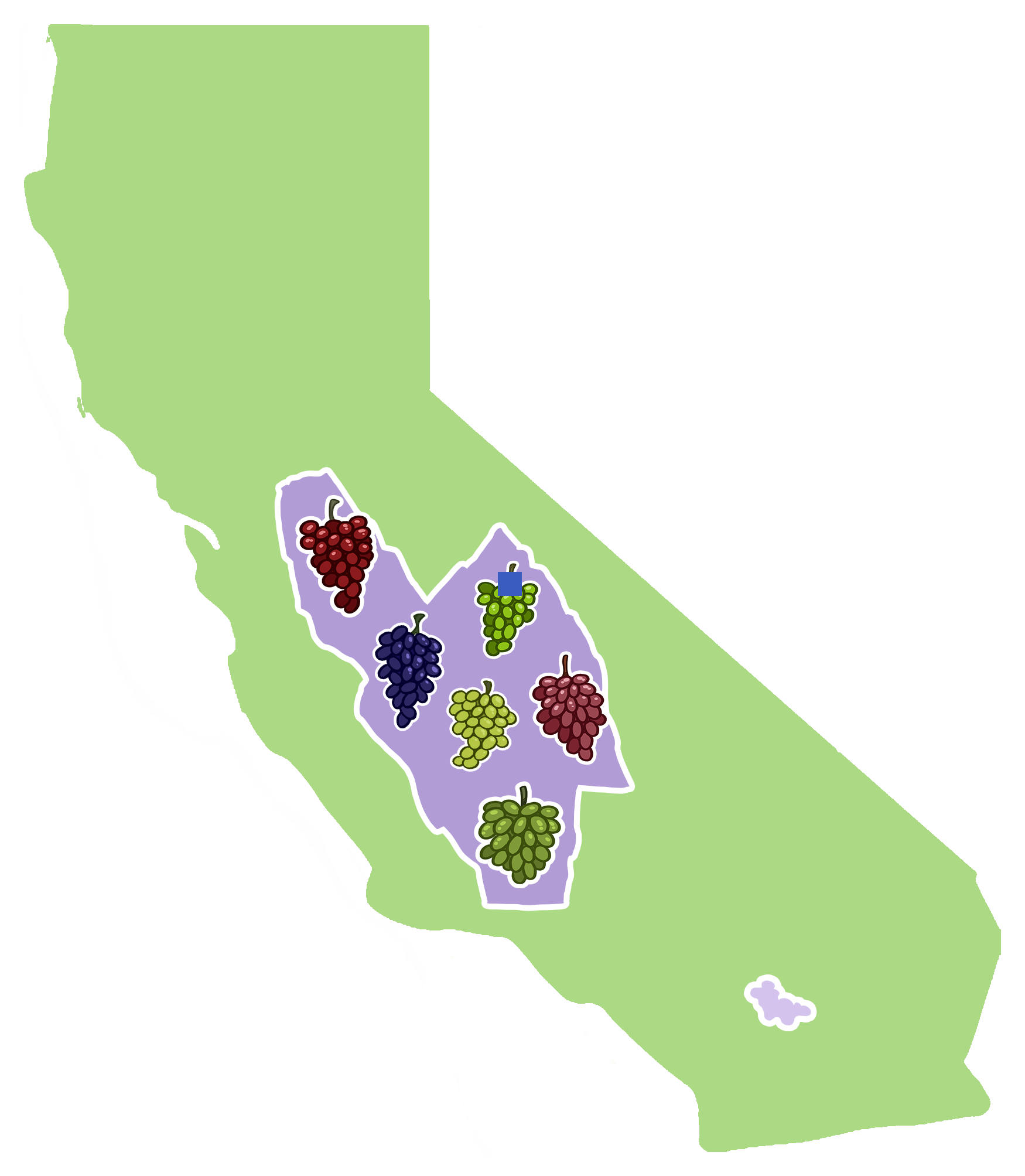 History of Grapes - What Am I Even Eating?!
