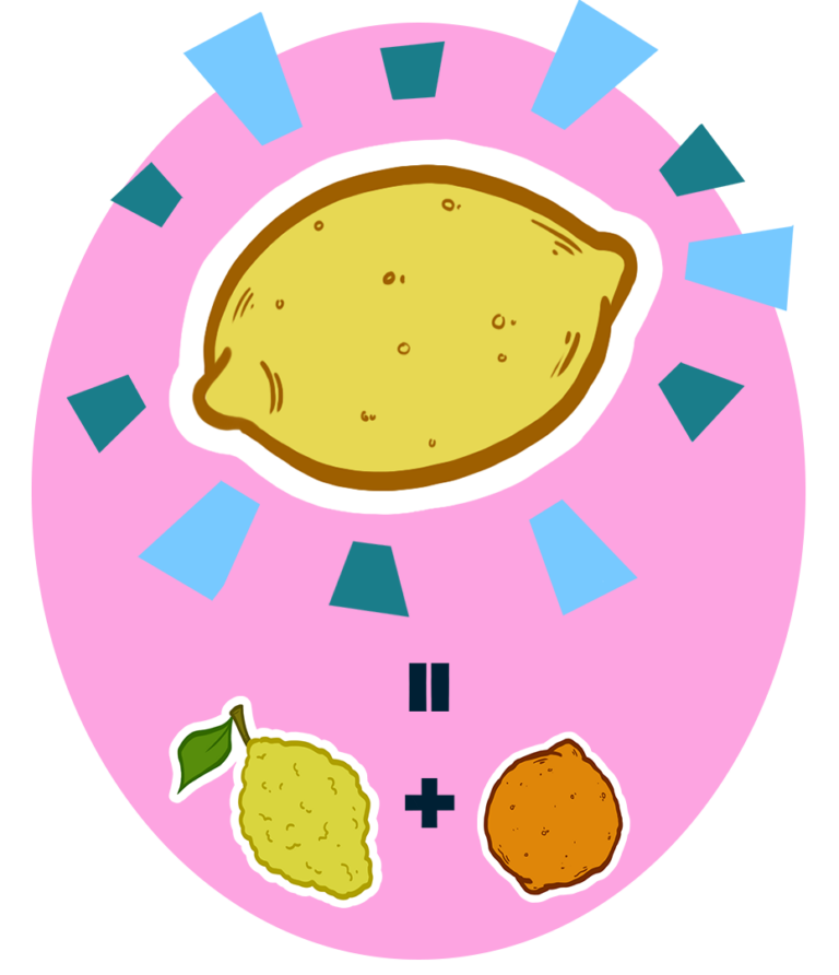 History of Lemons - What Am I Even Eating?!