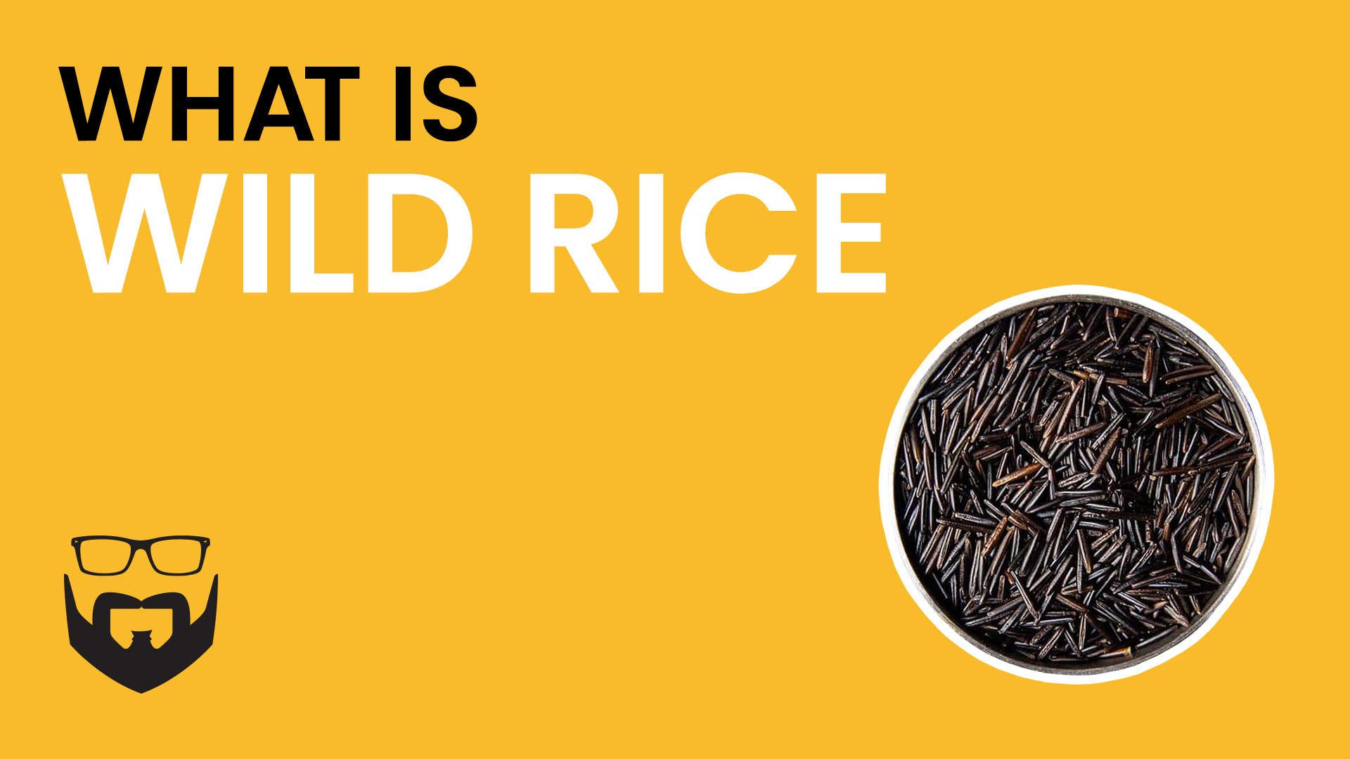 What is Wild Rice
